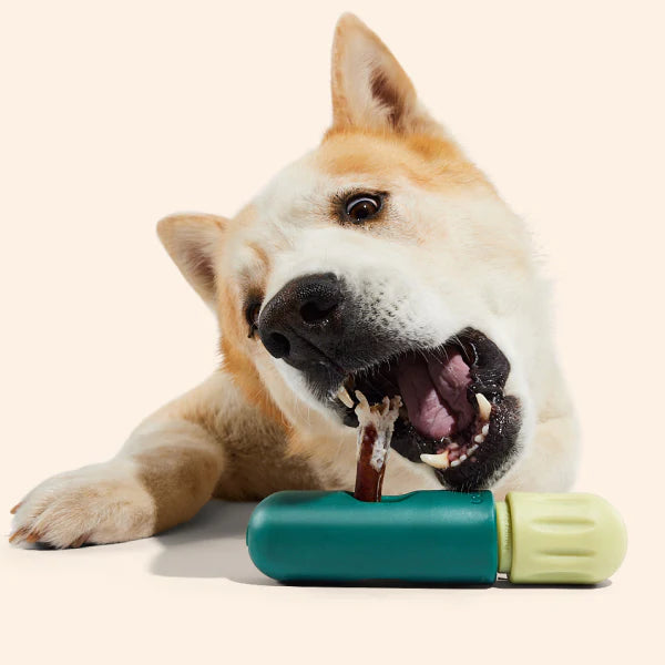 Woof BullySafe Bully Stick & Pizzle Chew Holder - For Safer Longer Play ...