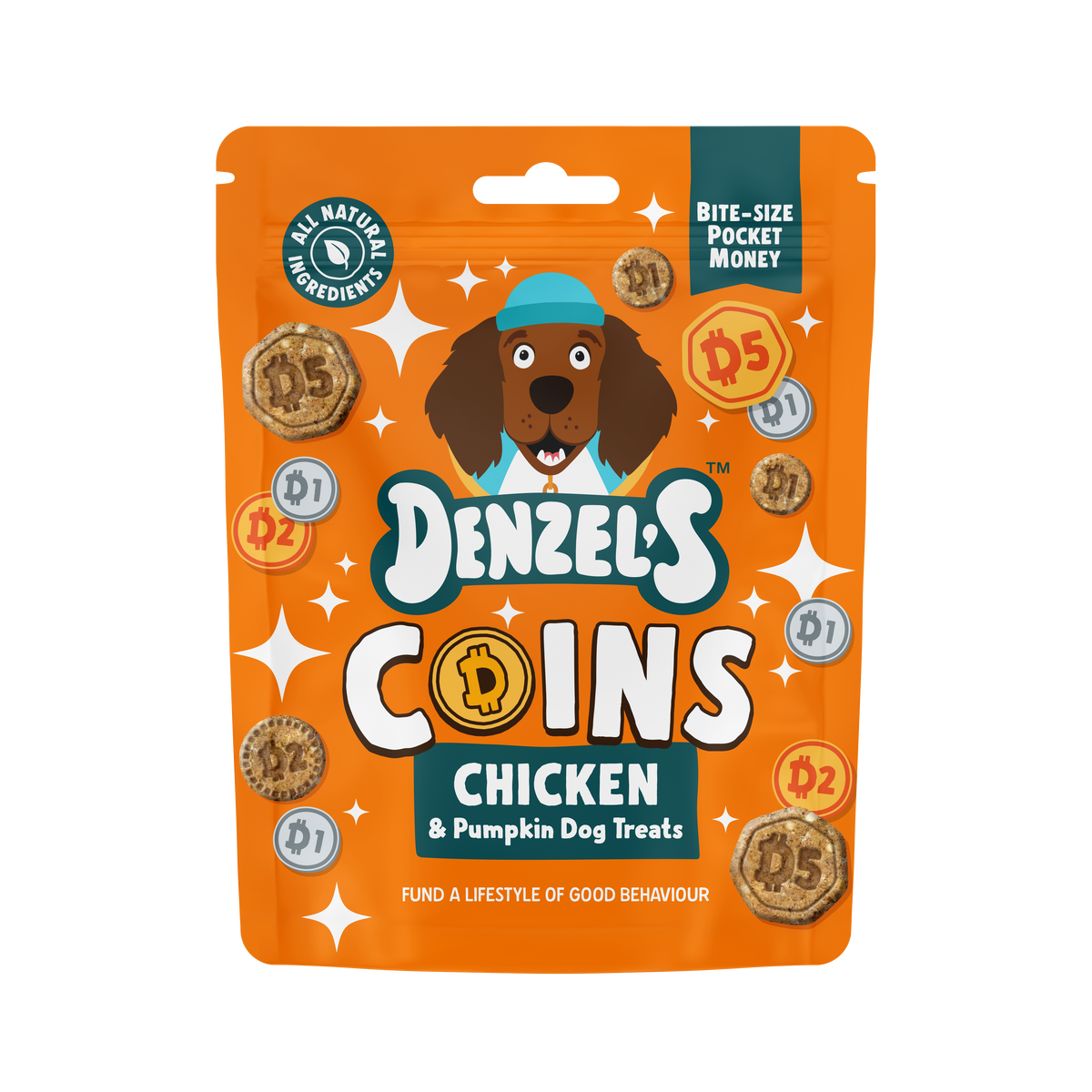 Denzel’s Coins Dog Training Treats 90g | Chicken & Pumpkin | WOOOF.co ...