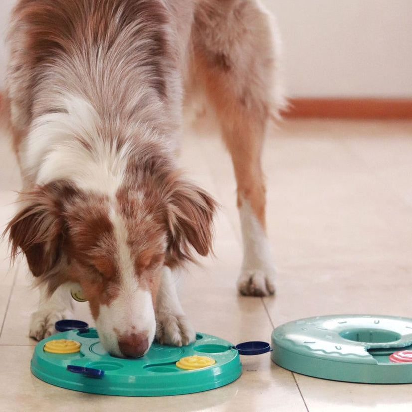 SmartyPaws Puzzler 3 in 1 Puzzle Game and Slow Feeder for Dogs ...