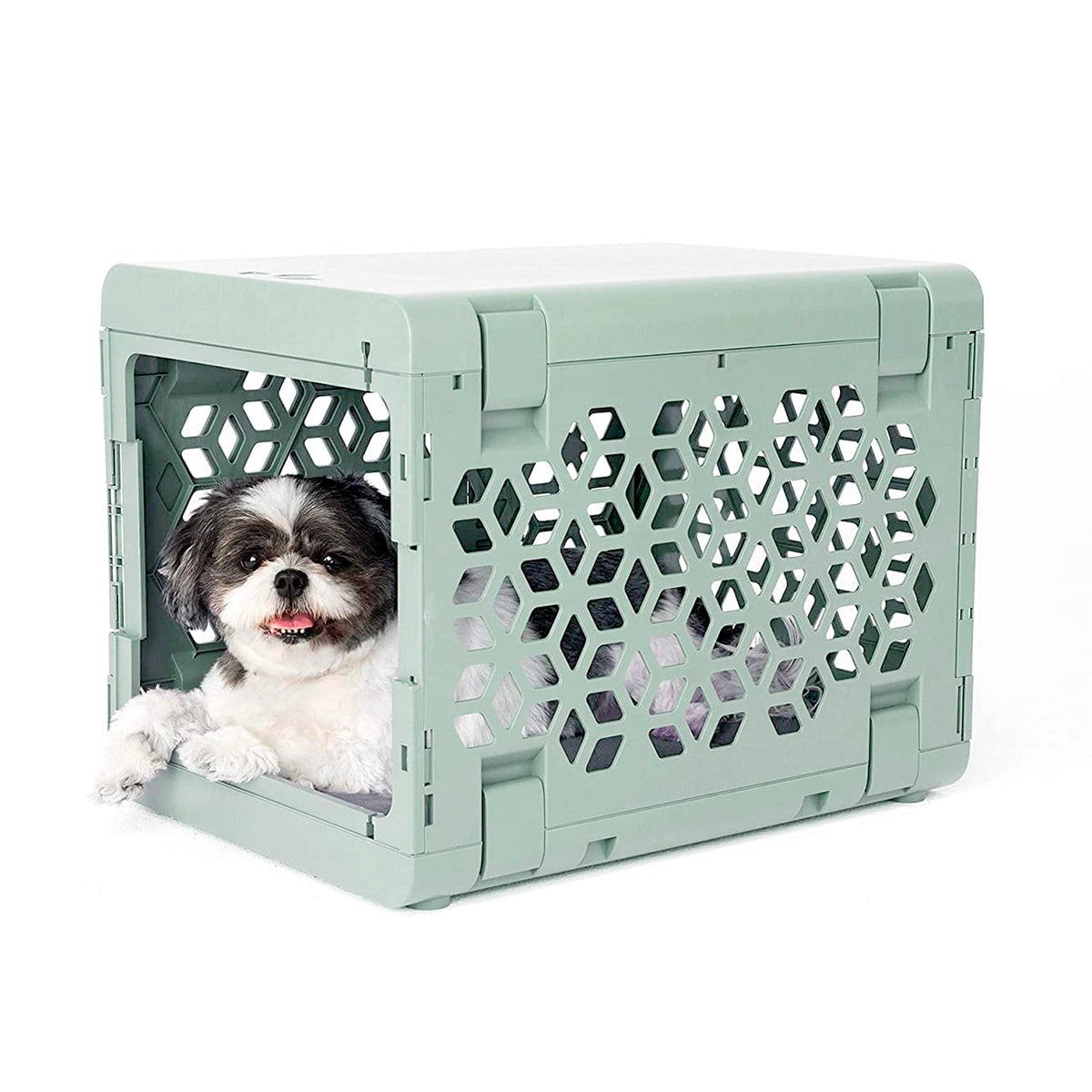KindTail Pawd® Modern Light Green Collapsible Plastic Dog & Pet Crate ...