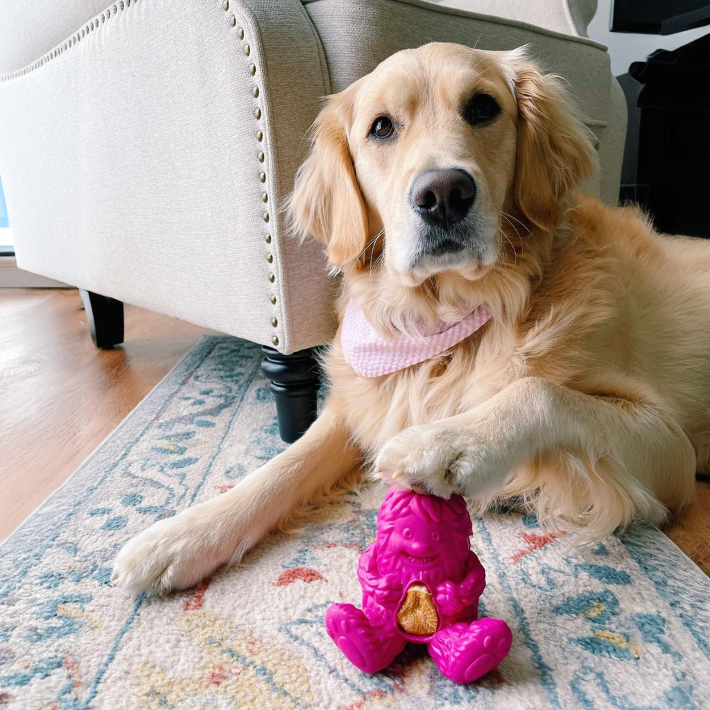 WOOOF | Shop quality dog products — Wooof.co.uk