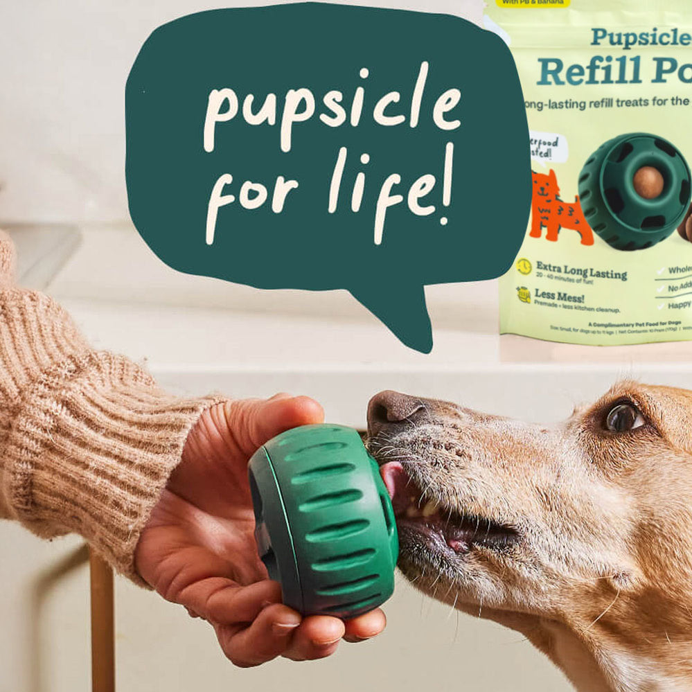 WOOF Pupsicle — Wooof.co.uk