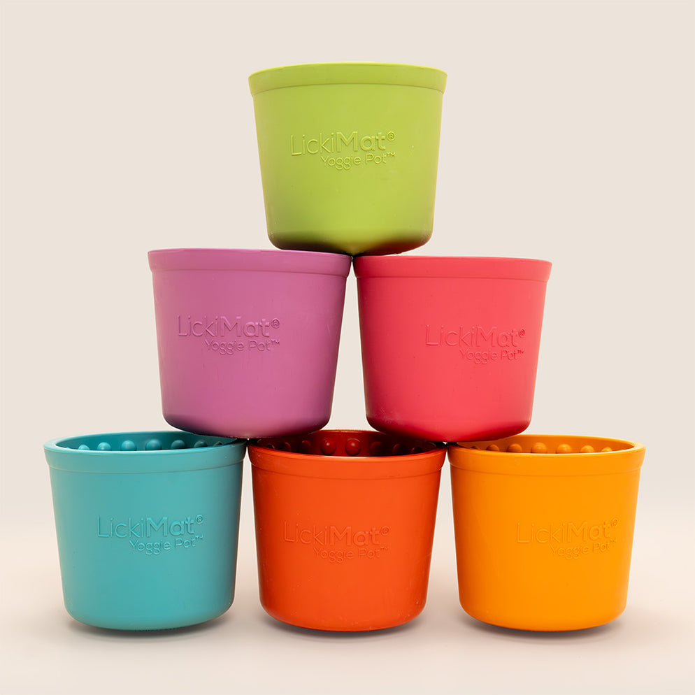 LickiMat Yoggie Pot Bundle - LickiMat | WOOOF.co.uk — Wooof.co.uk