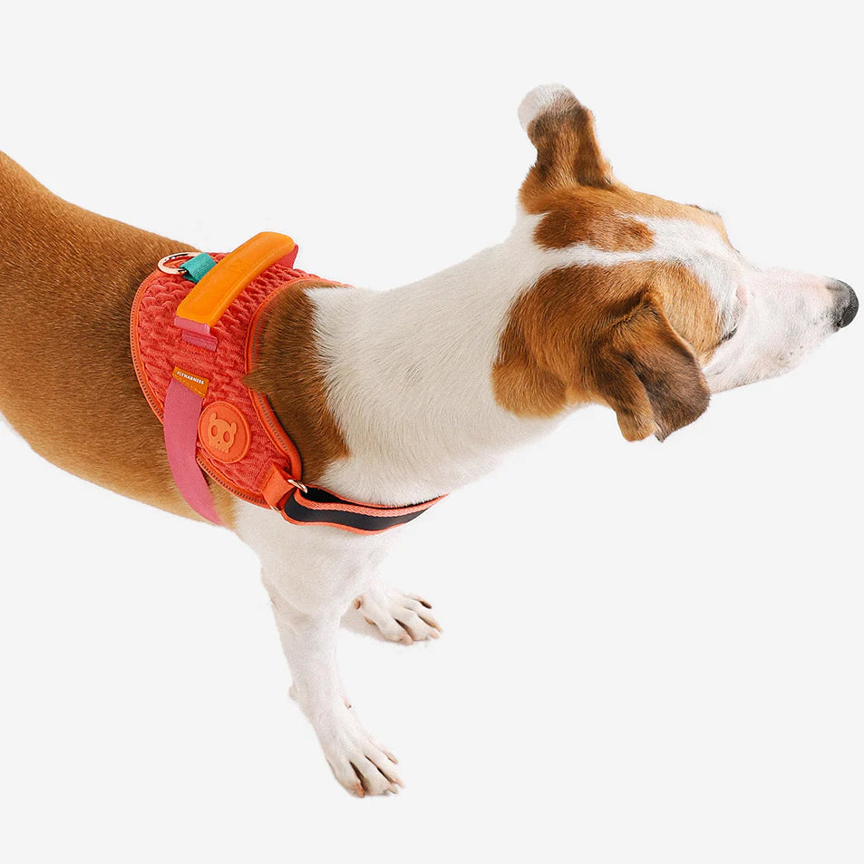 Zee.Dog Gazelle FlyHarness – Lightweight, Breathable & Reflective Dog ...