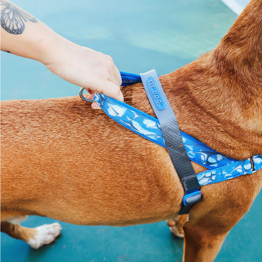 Zee.Dog SofterWalk Harness - H3D Fly | WOOOF.co.uk — Wooof.co.uk