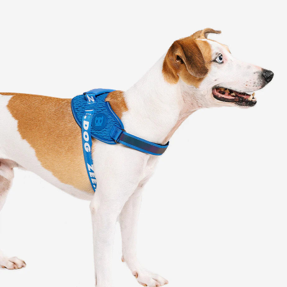 Zee.Dog FlyHarness Slam Dunk – Lightweight, Breathable & Reflective Dog ...