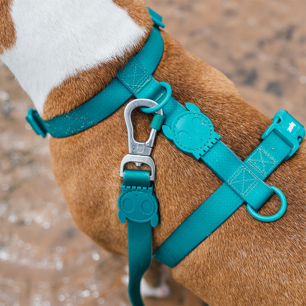 Zee.Dog Neopro Amazonia Dog H-Harness - ZeeDog | WOOOF.co.uk — Wooof.co.uk