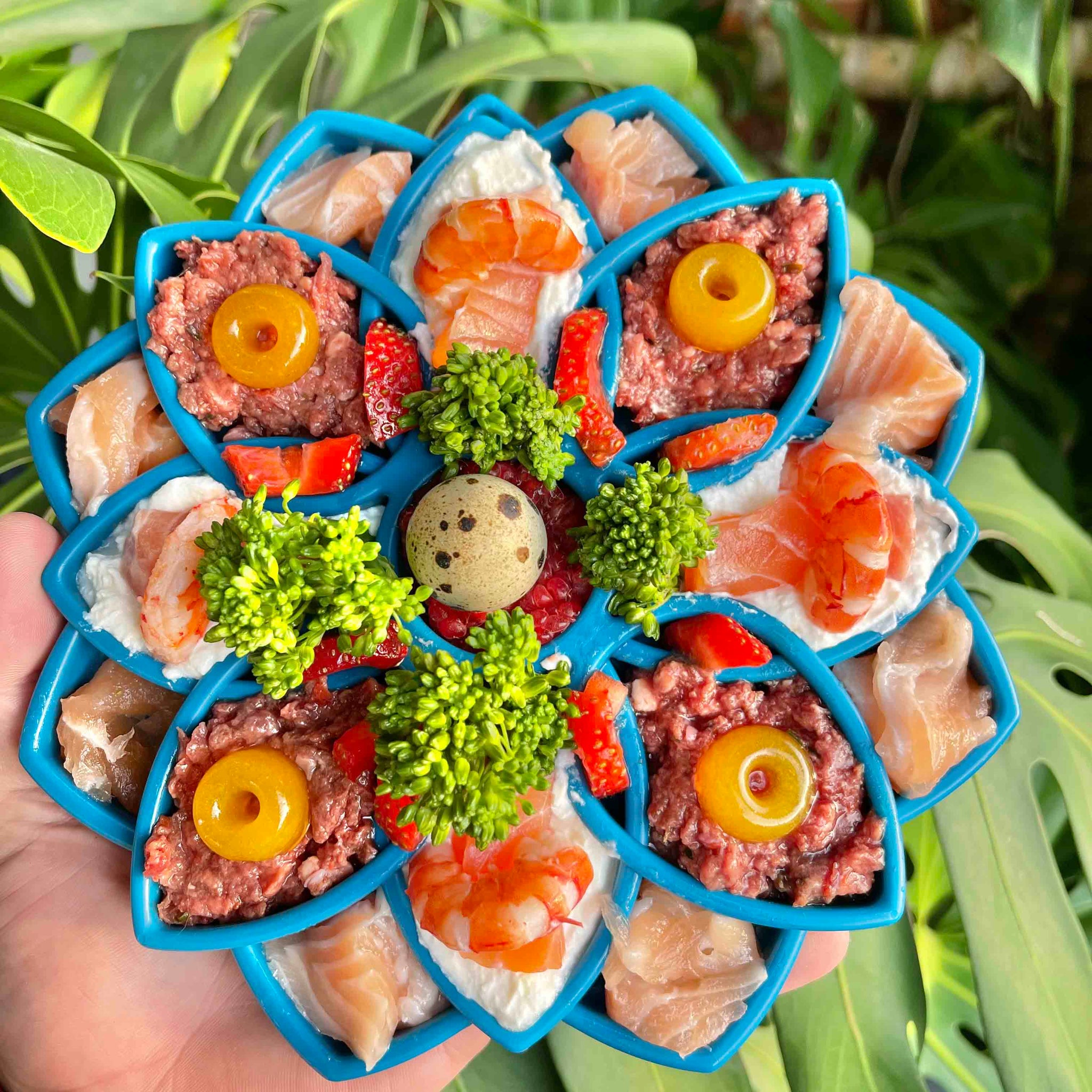 WOOOF | Shop quality dog products — Wooof.co.uk