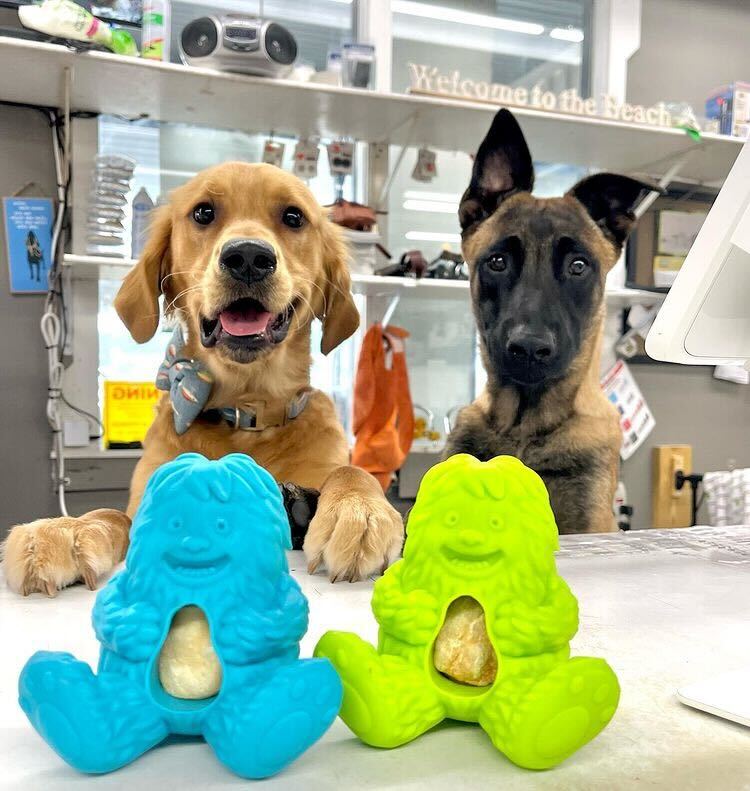 WOOOF | Shop quality dog products — Wooof.co.uk